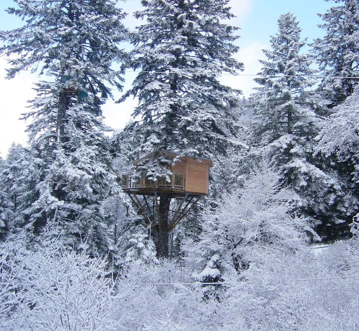 Cabane Dans Les Arbres - Murat