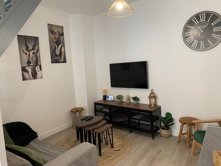 Appartement/duplex Fontainebleau Centre Ville - Fontainebleau