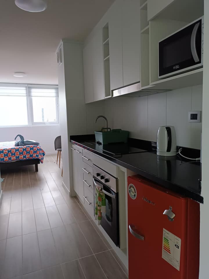 Cómodo Departamento Isla Teja - Valdivia