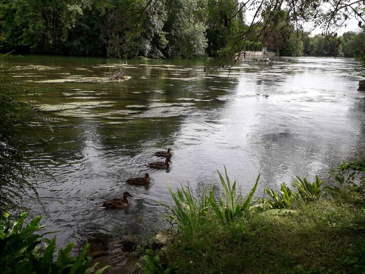 Maison De Charme Au Bord De La Rivière - Angoulême