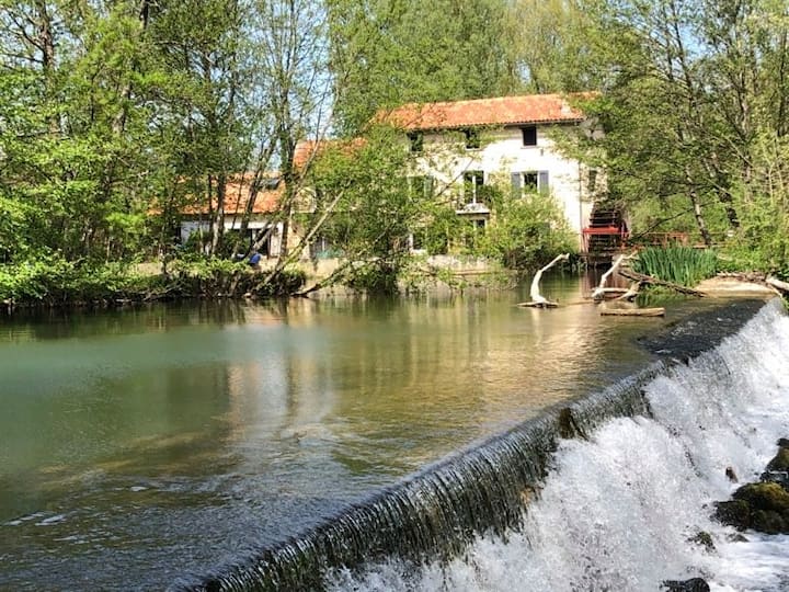 Moulin A à Eau Du 18e Siecle Et Son Ile Privée - Vivonne