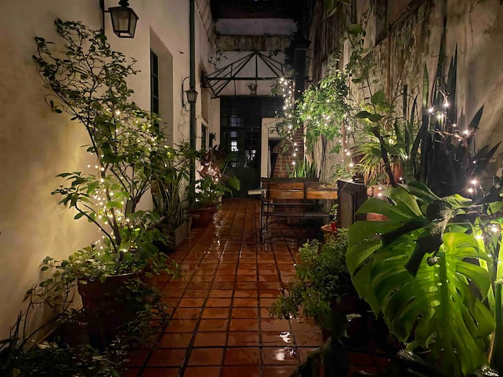 Great Room In Beautiful House - Palermo Soho - Buenos Aires