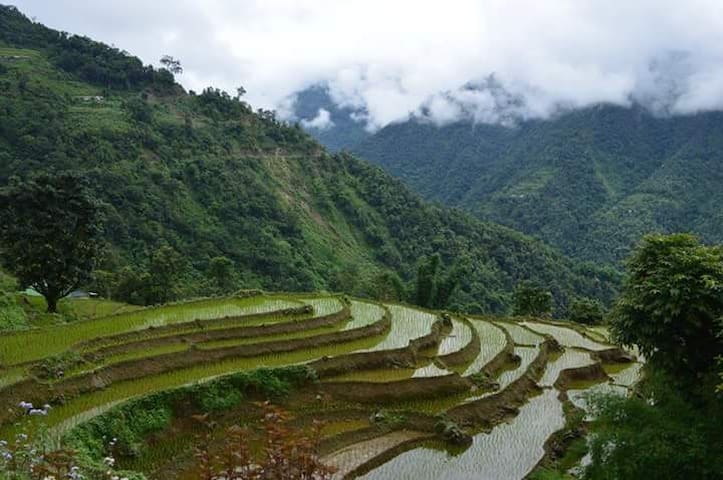 Kolakham Travel Guide 2022: Best of Kolakham Tourism | Tripoto