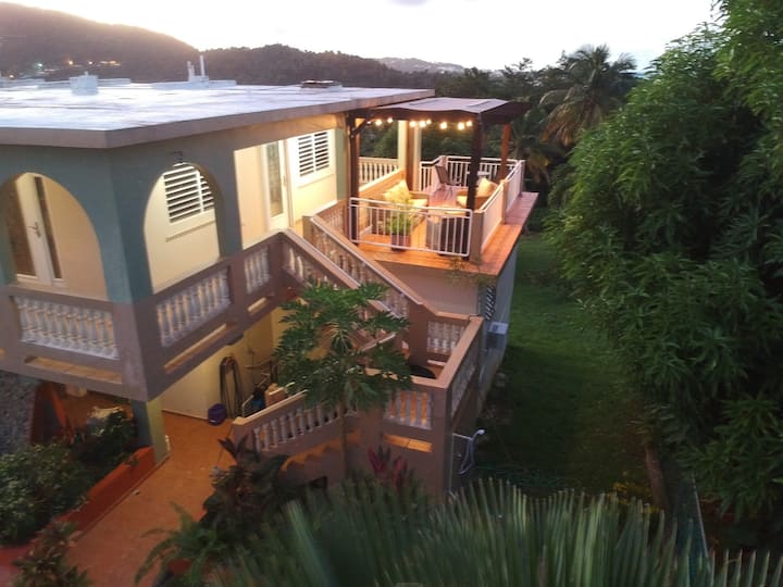 Casa Coqui Mnt And Garden - Luquillo