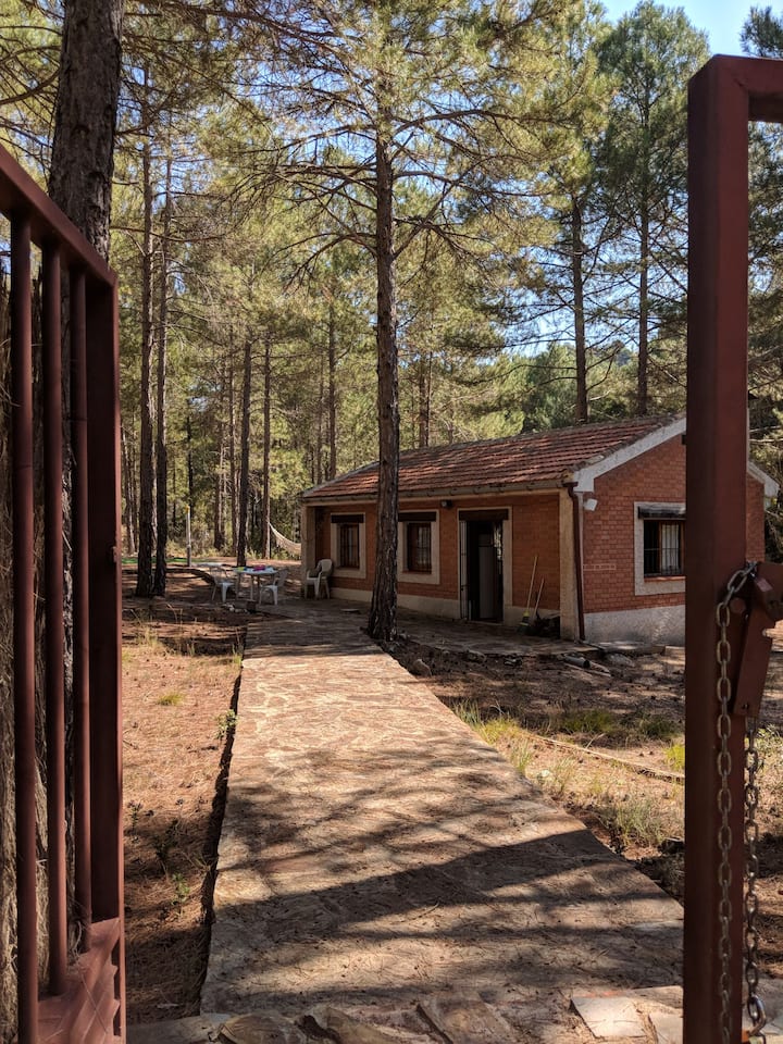 Preciosa Casita Rodeada De Pinos En Trillo - Cifuentes