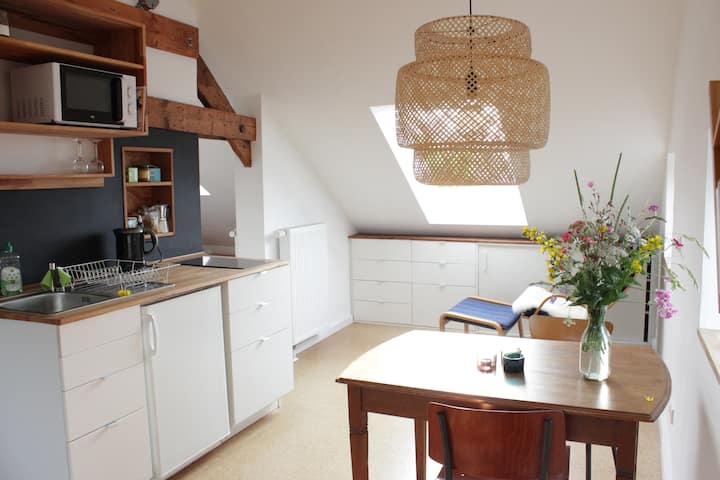 Schöne Wohnung Unterm Dach - Aix-la-Chapelle