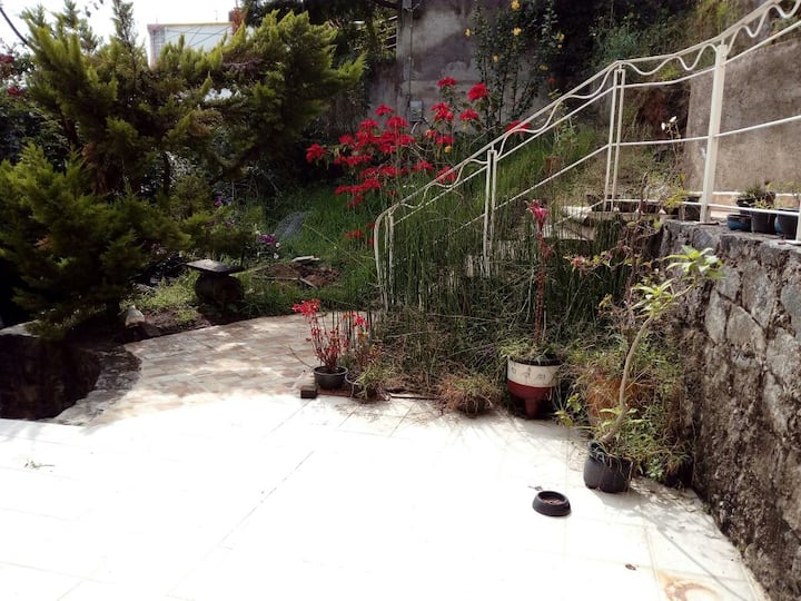 Bonito Loft Con Vista Al Jardín! - Mexico State