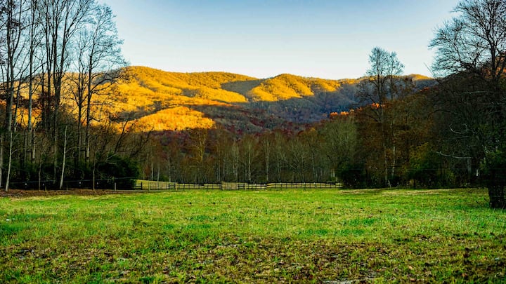 The Willow And Whisk Cottage - ブライソン・シティ, NC