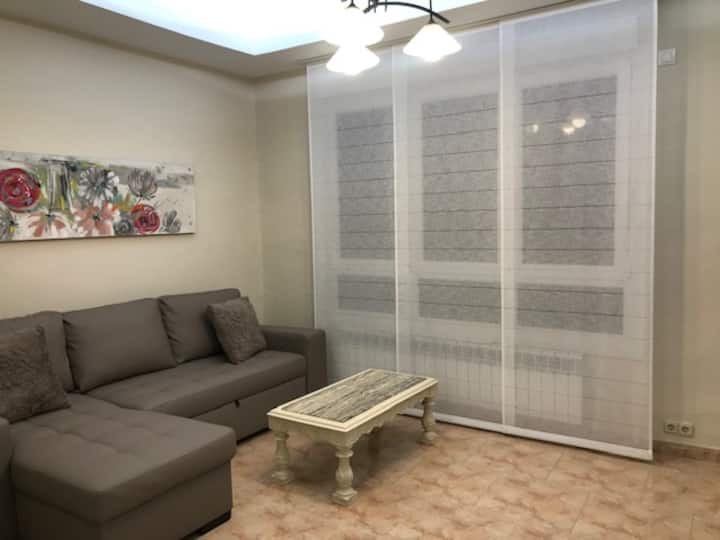 Piso Recién Reformado En El Centro De Logroño - Entrena