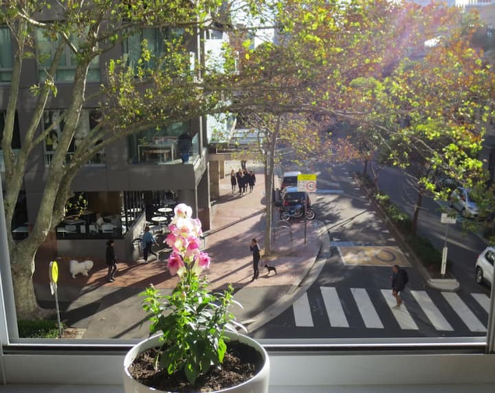 Sunny Gem On Chic Macleay St - Sydney