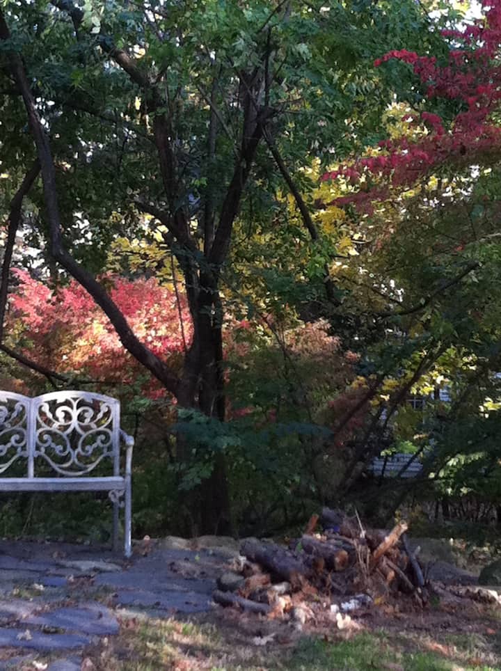 Lovely Room Adjacent To Smith College - Northampton, MA