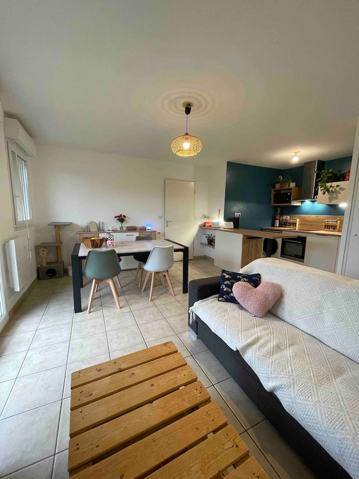Appartement Proche Circuit - Le Mans