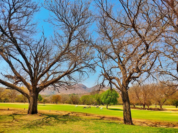 Bushveld View Estate Vacation Rentals & Homes - North West, South ...