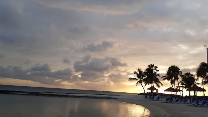 Private Room In Beautiful Hostel With Pool - Aruba
