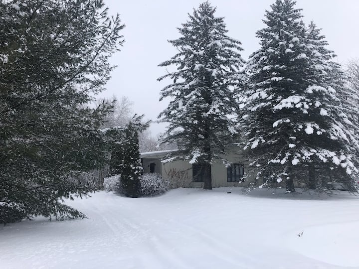 La Jolie Maison Dans Les Pins - Granby