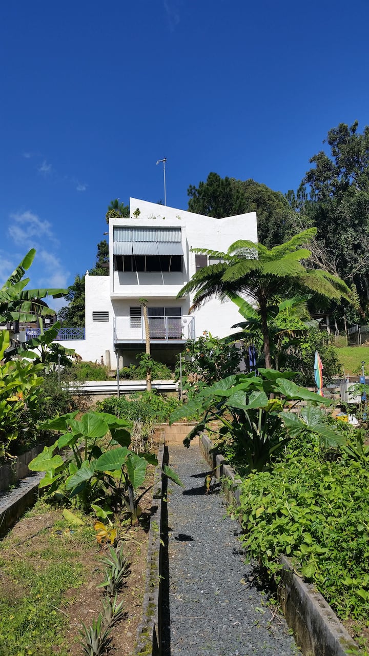 The Forest Patio At El Yunque National Forest - 波多黎各