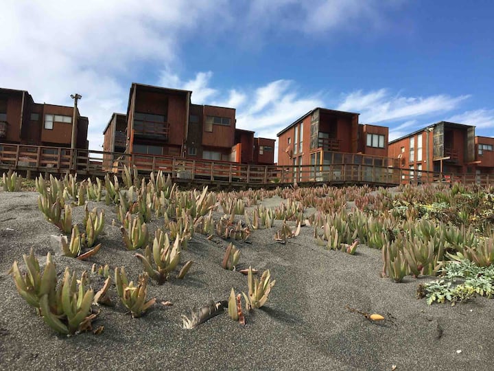 Loft Playa Infiernillo - Pichilemu - Pichilemu