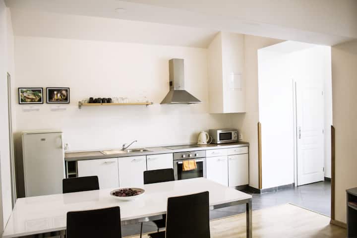 3kk - Family/friendly Flat Close To Center - Praag