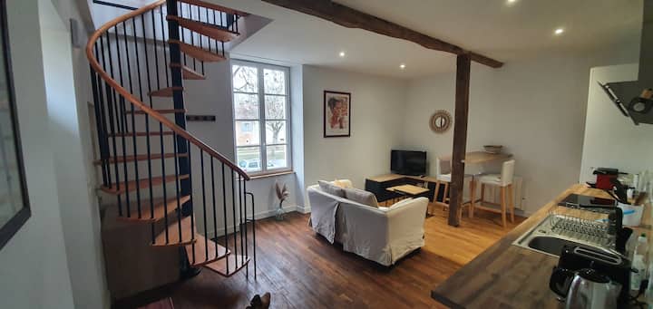 Charmant T2 Duplex Avec Terrasse Au Bord Du Clain - Poitiers