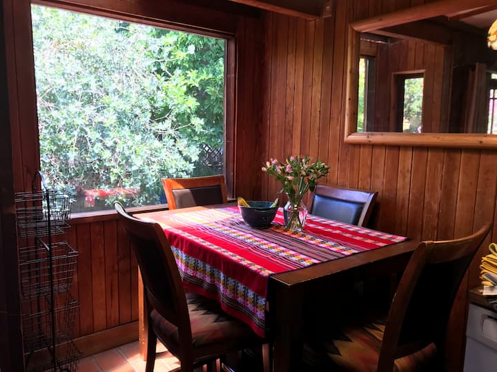 Your Sabbatical Garden Home!  Cheerful 2 Bedrooms. - Berkeley, CA