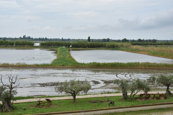 Camargue Mas La Salivageone - Camargue