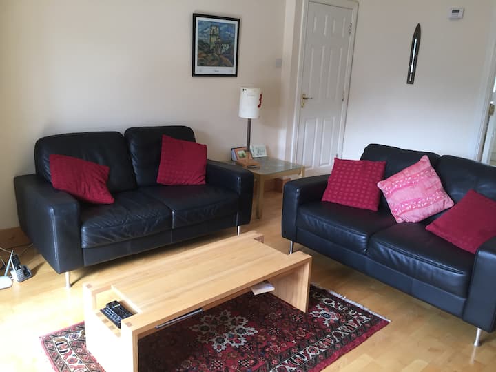 House With Easy Access To City. - Oranmore