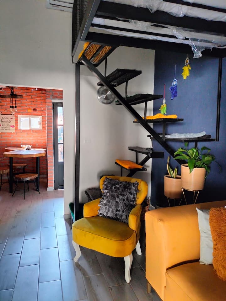 Loft Cruce Cárdenas Cancun-cdmx. - Tabasco