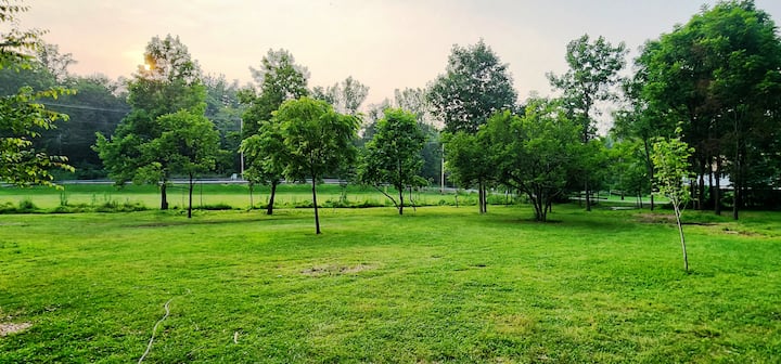 Wooded Family Getaway - Ulster Park, NY
