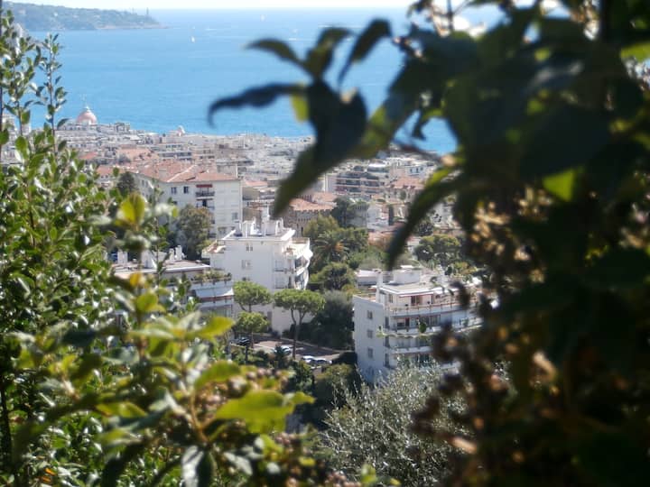 Appartement Classé 3 éToiles Parking Jardin Privés - Nizza