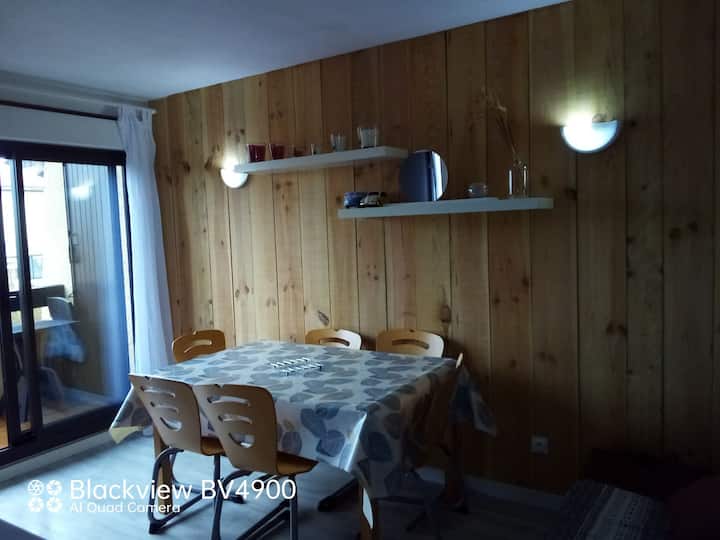 Appartement A 50 M De La Plage Et Parc Aquatique - Seignosse