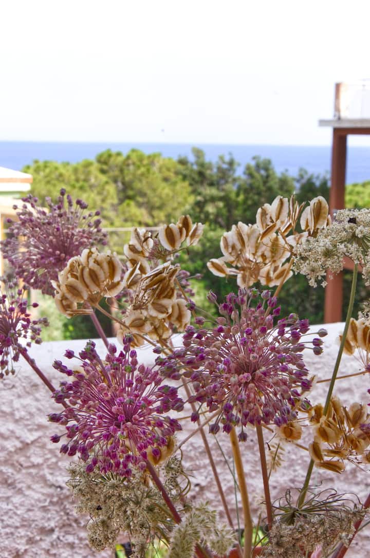 Loft Ginestra 6 - Sardinia