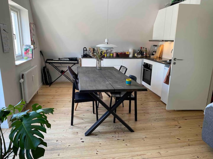 Hyggelig Lejlighed I Kbh “Børne- Og Dyrevenlig” - Copenaghen