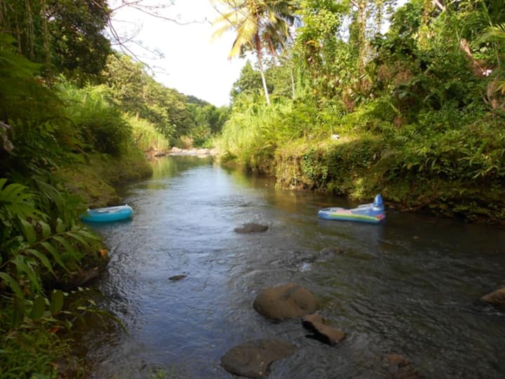 Volver A La Naturaleza - Zion - Guadeloupe