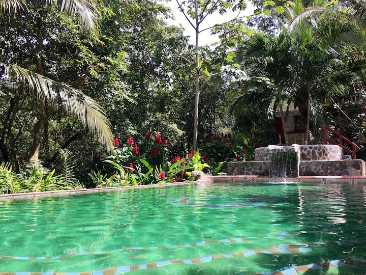 Jungle Apt, Tropical Garden & Refreshing Pool! - Playa Blanca, Costa Rica