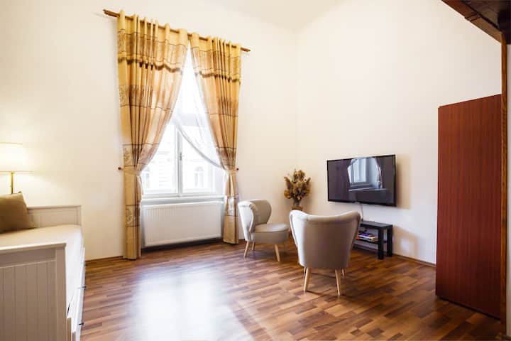 Newly Renovated Apartment Close To National Museum - Prága
