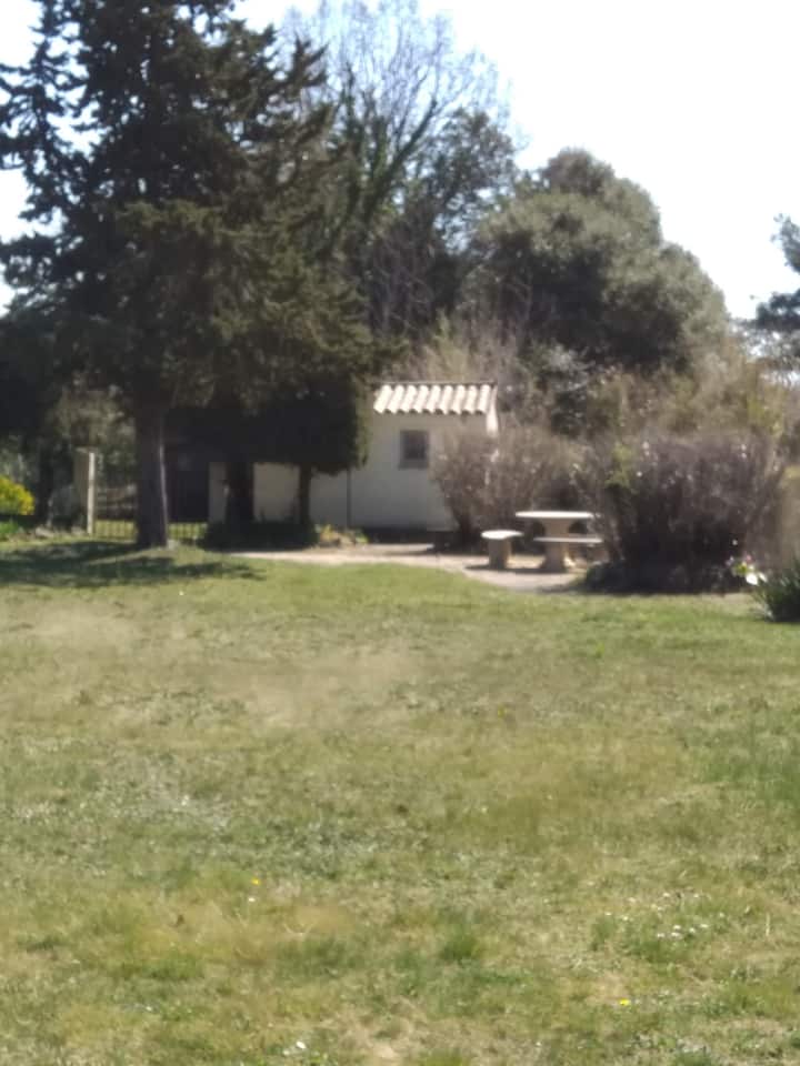 Charmante Maisonnette Provençale - Montauroux