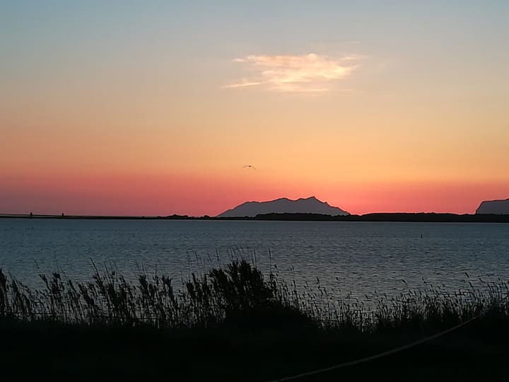 A Spagnola D'ammare - Marsala