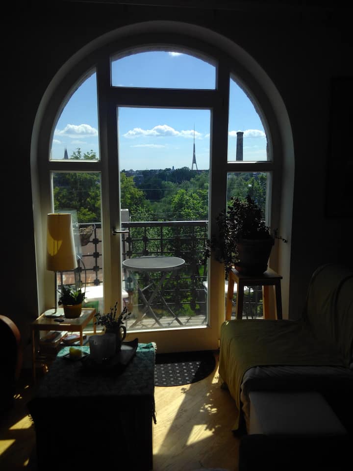 Translator's Home With A View In Center Of Riga - Riga