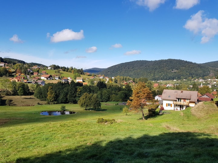 Gîte Au Coeur De La Vallée Vosgienne - Gérardmer
