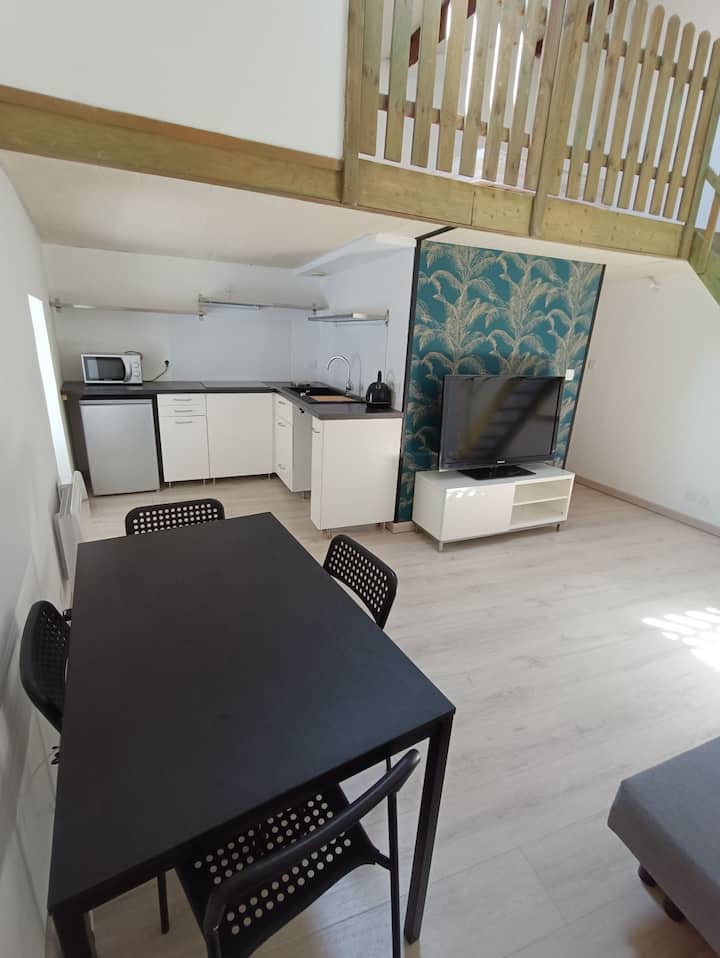Appartement  Moderne T1 Bis - Bouguenais - Bouguenais