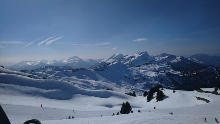 Joli T2 - Les Gentianes Châtel - Châtel