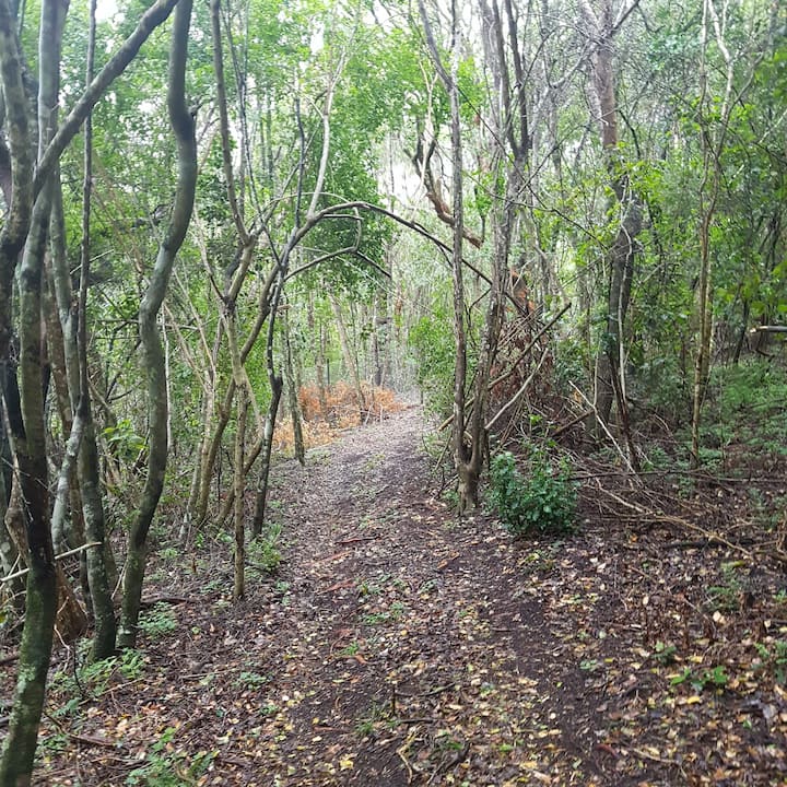 Hunters Cabin In The Forest - Plettenberg Bay