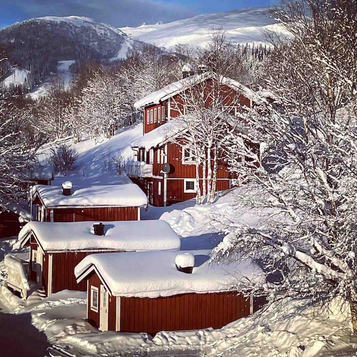 Egen Lgh Med Balkong Mot ÅResjön - Åre