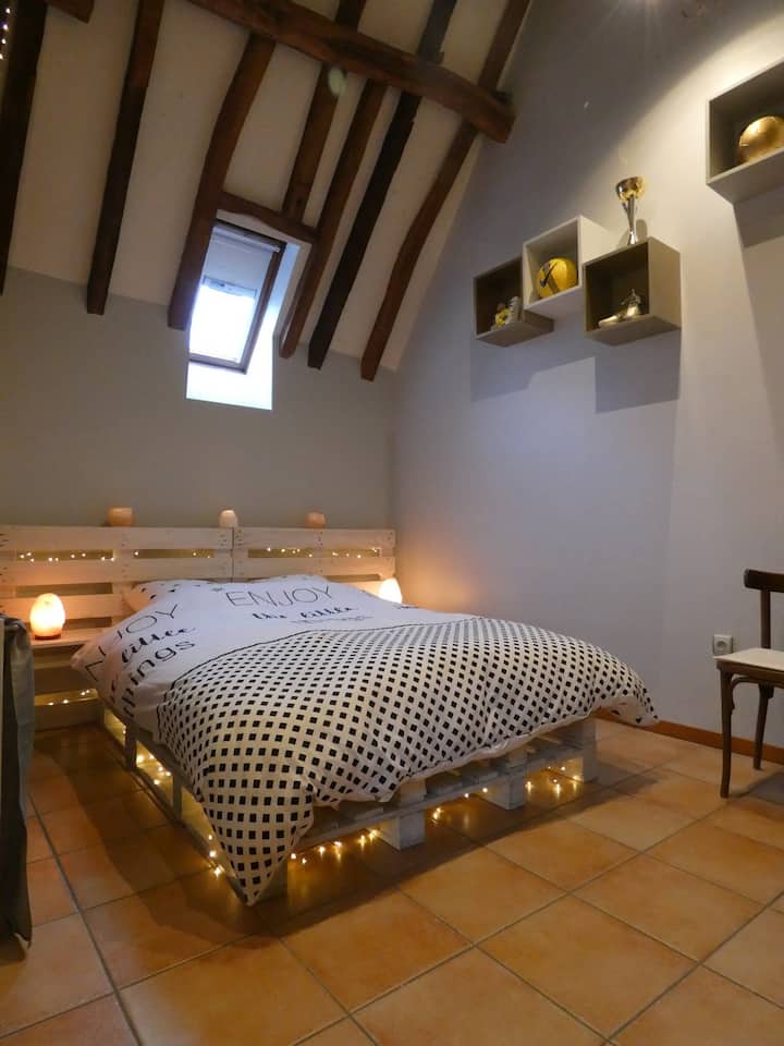 Chambre De Charme - Lycée/beauval/châteaux - Châtillon-sur-Indre