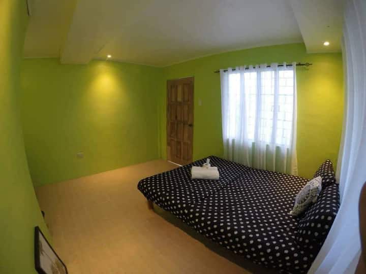 Salugan Bed N Breakfast Green Room - Ligao