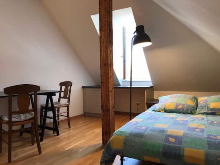 Grand Studio Neuf Au Centre Ville - Strasbourg