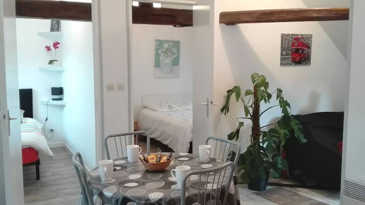 Apt 2 Ch Cosy, Zoo à 5 Min, Cœur De Ville - Saint-Aignan