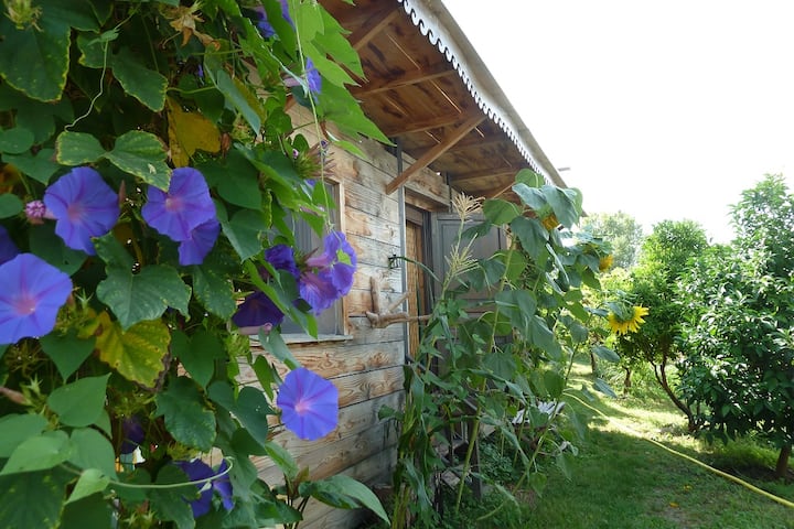 La Cabane Du Potager ... Gîte Agriculture Bio - Nice