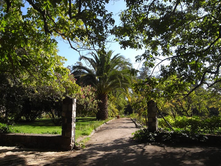 Santiago Wine Casita Steps From Don Melchor Winery - Pirque