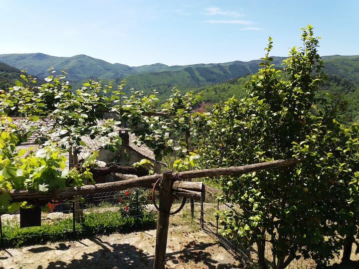 Gîte Gustou En Cévennes - Lozère - Lozère